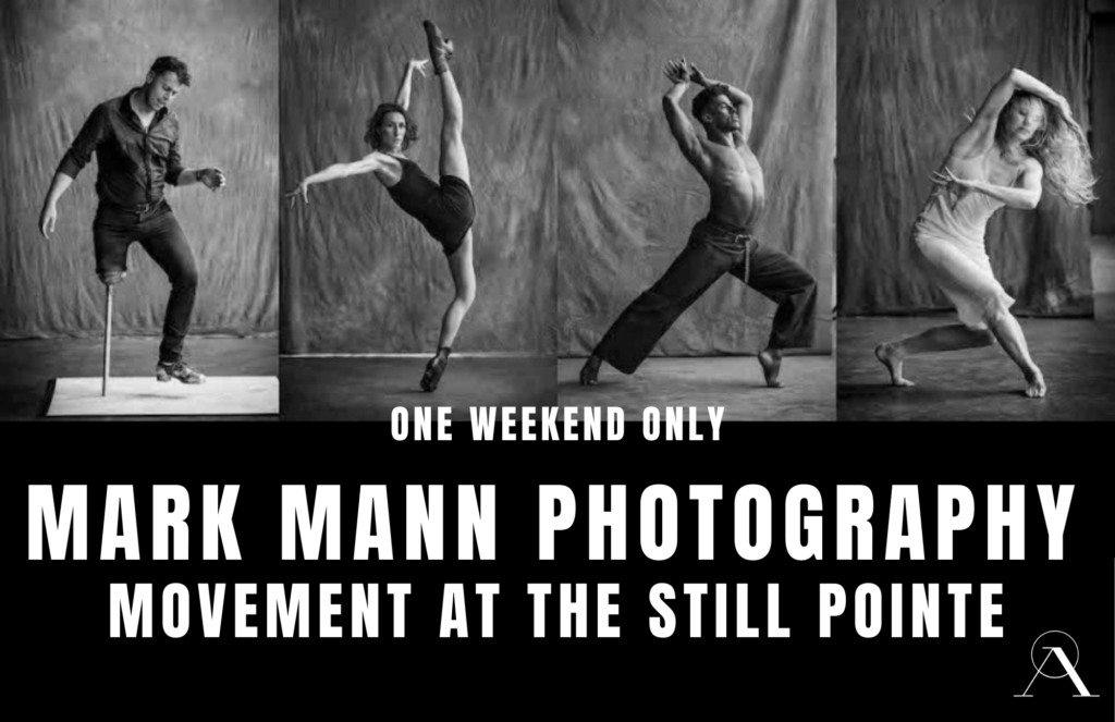 Movement at the Still Point | Arete Gallery in New Hope, PA